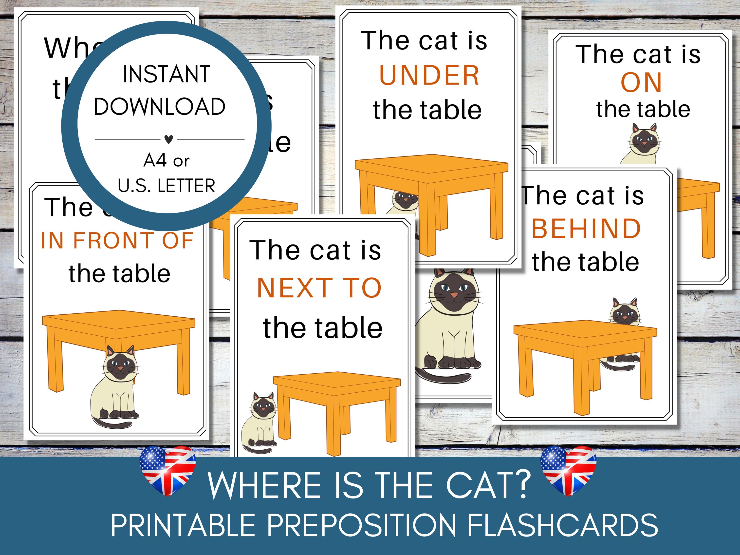 Printable Flashcards for Language Learning, ESL Preposition Flashcards ...