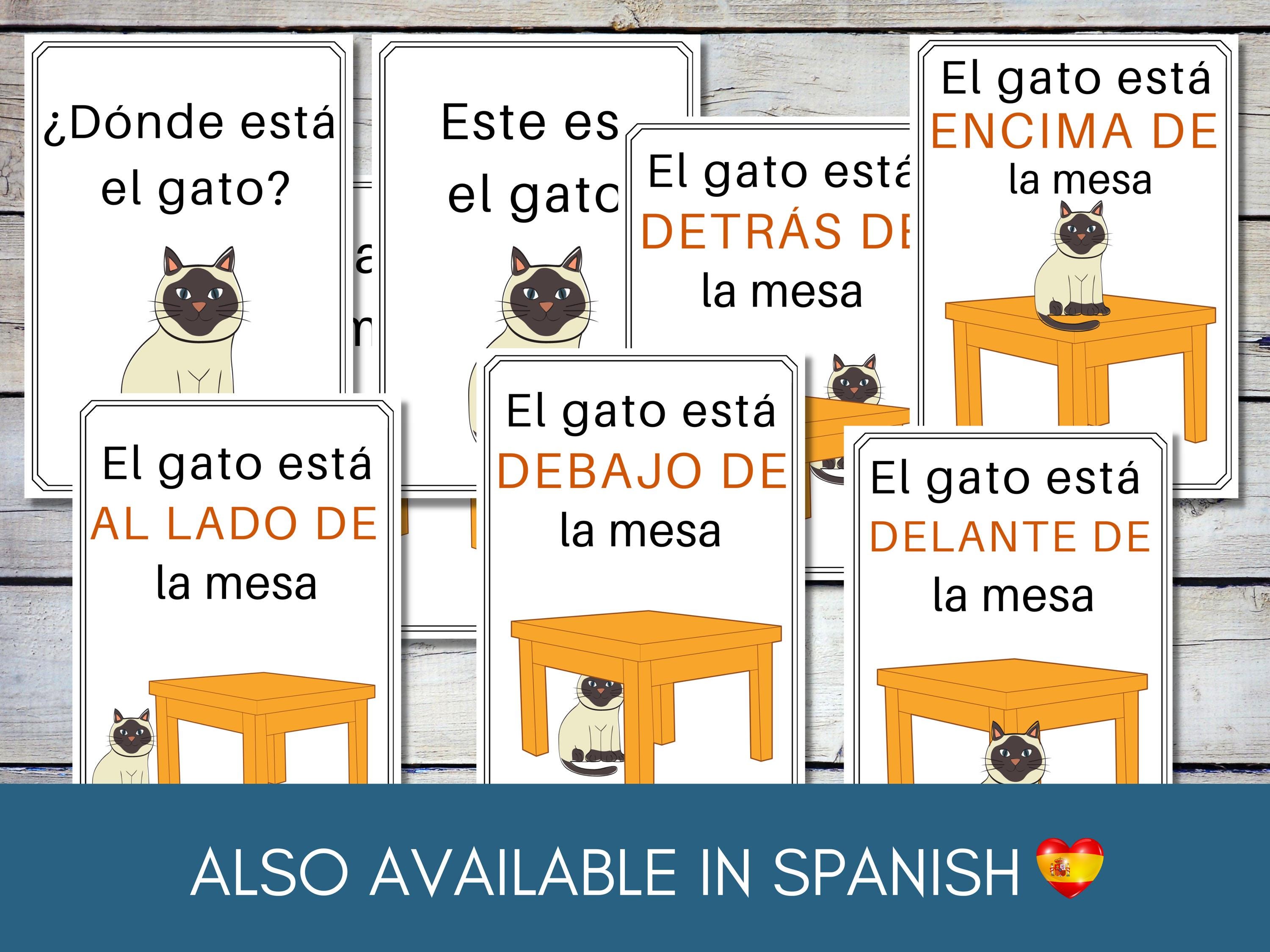 Printable Flashcards for Language Learning, ESL Preposition Flashcards ...