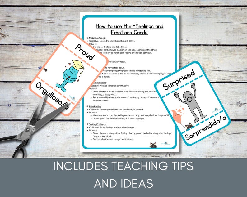 Feelings and Emotions Flashcards for Kids, English and Spanish ...