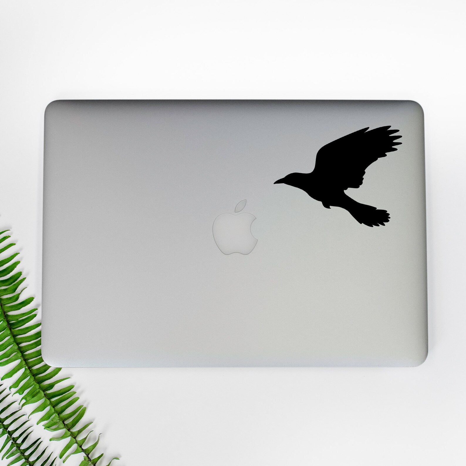 Crow Flying Sticker Crow Bird sticker Crow Decal Car Laptop | Etsy