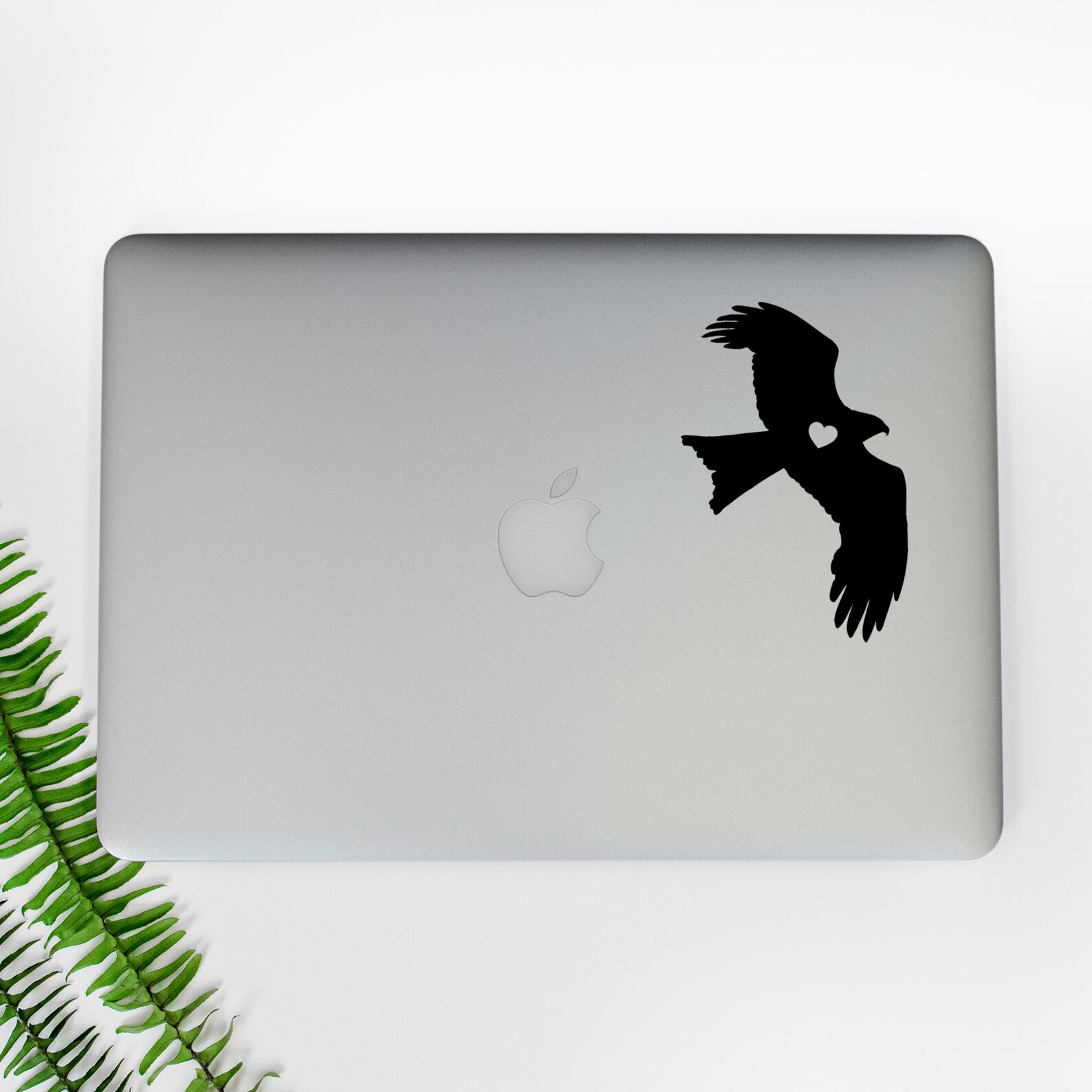 Hawk Decal Hawk Sticker Car Laptop Vinyl Decal Sticker | Etsy