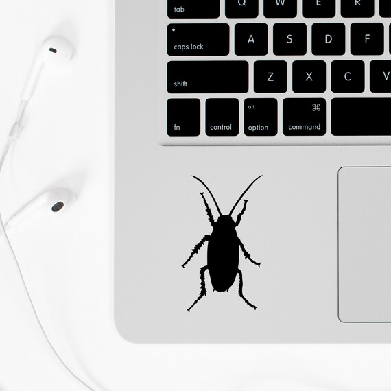 Cockroach Vinyl Decal Sticker cockroach sticker cockroach | Etsy
