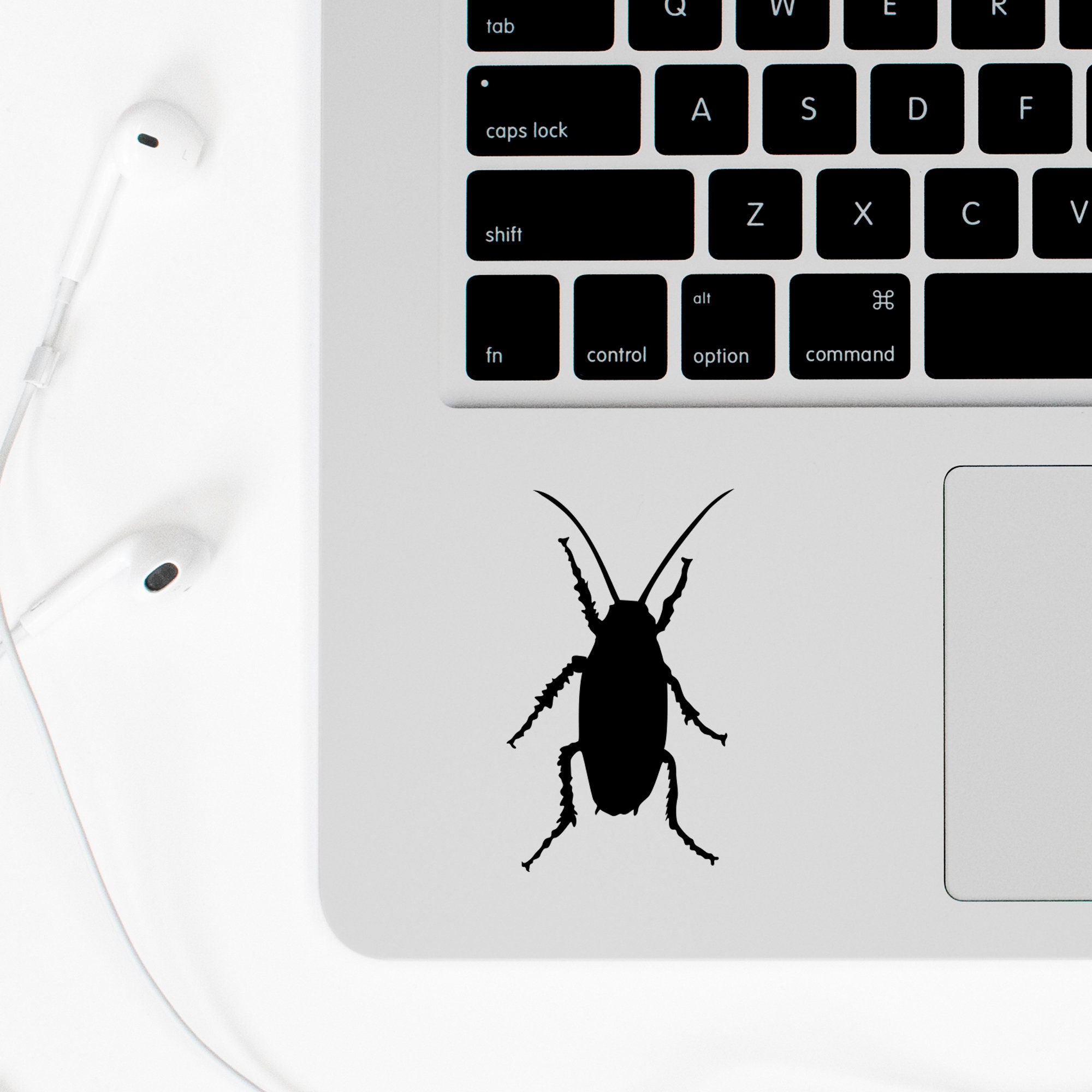 Cockroach Vinyl Decal Sticker cockroach sticker cockroach | Etsy