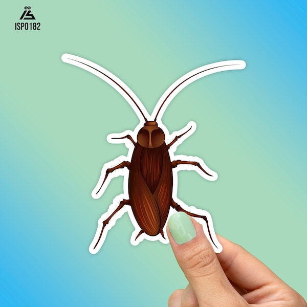 Cockroach - Etsy