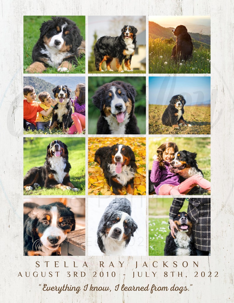 Pet Memory Photo Collage DIGITAL PRINTED Keepsake - Etsy
