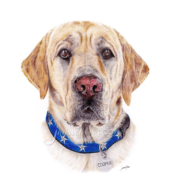 Custom Colored Pencil Hand Drawing Pet Portrait Commissioned | Etsy
