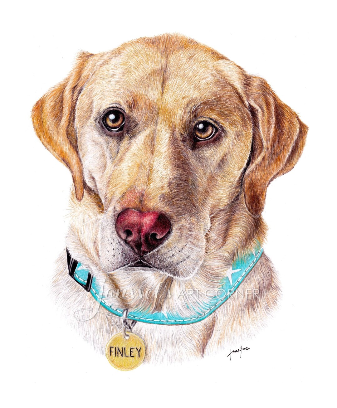Custom Colored Pencil Hand Drawing Pet Portrait Commissioned - Etsy