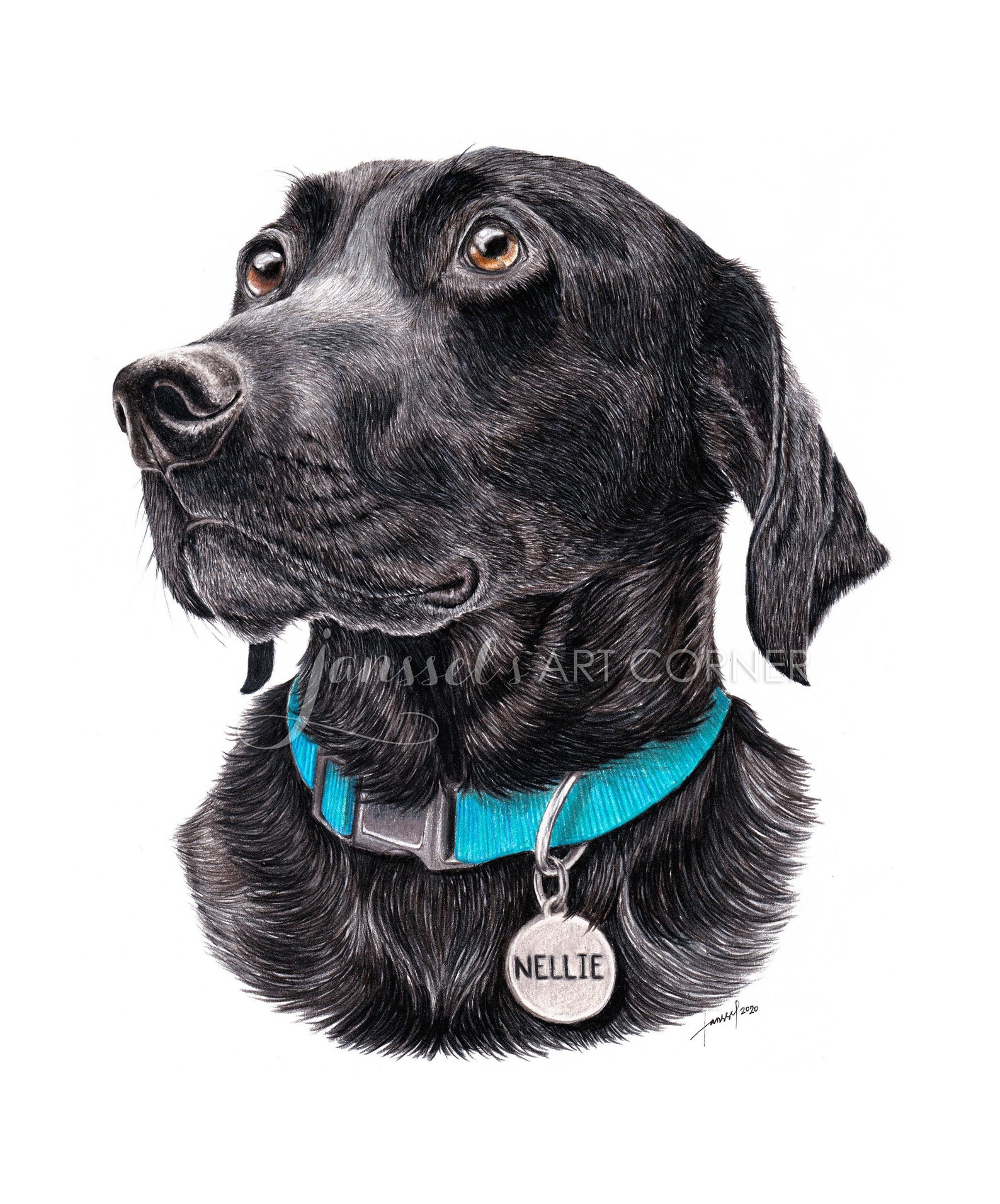 Custom Colored Pencil Hand Drawing Pet Portrait Commissioned - Etsy