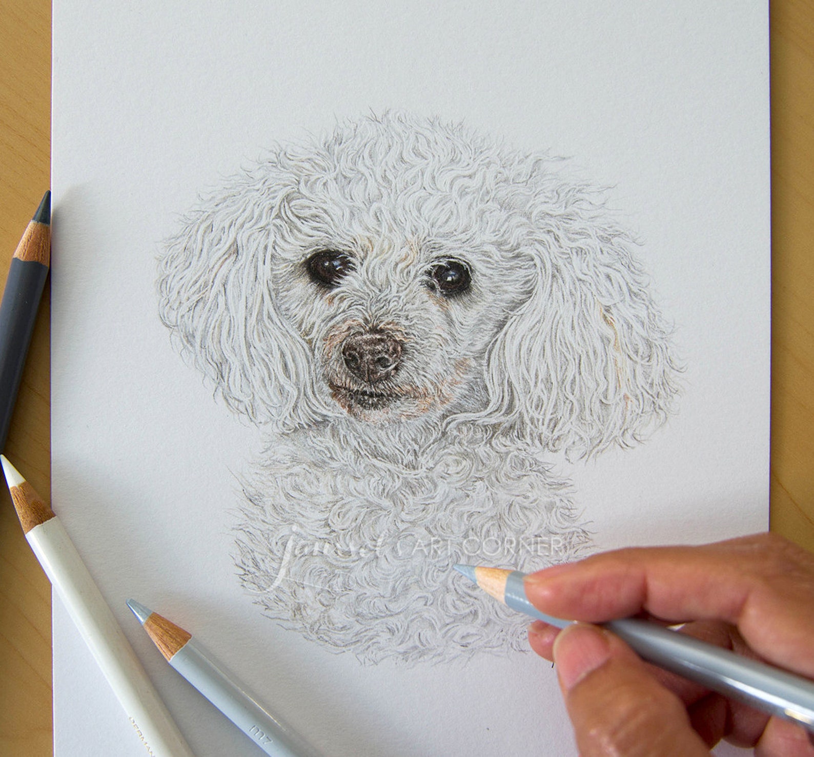 Custom Colored Pencil Hand Drawing Pet Portrait Commissioned - Etsy