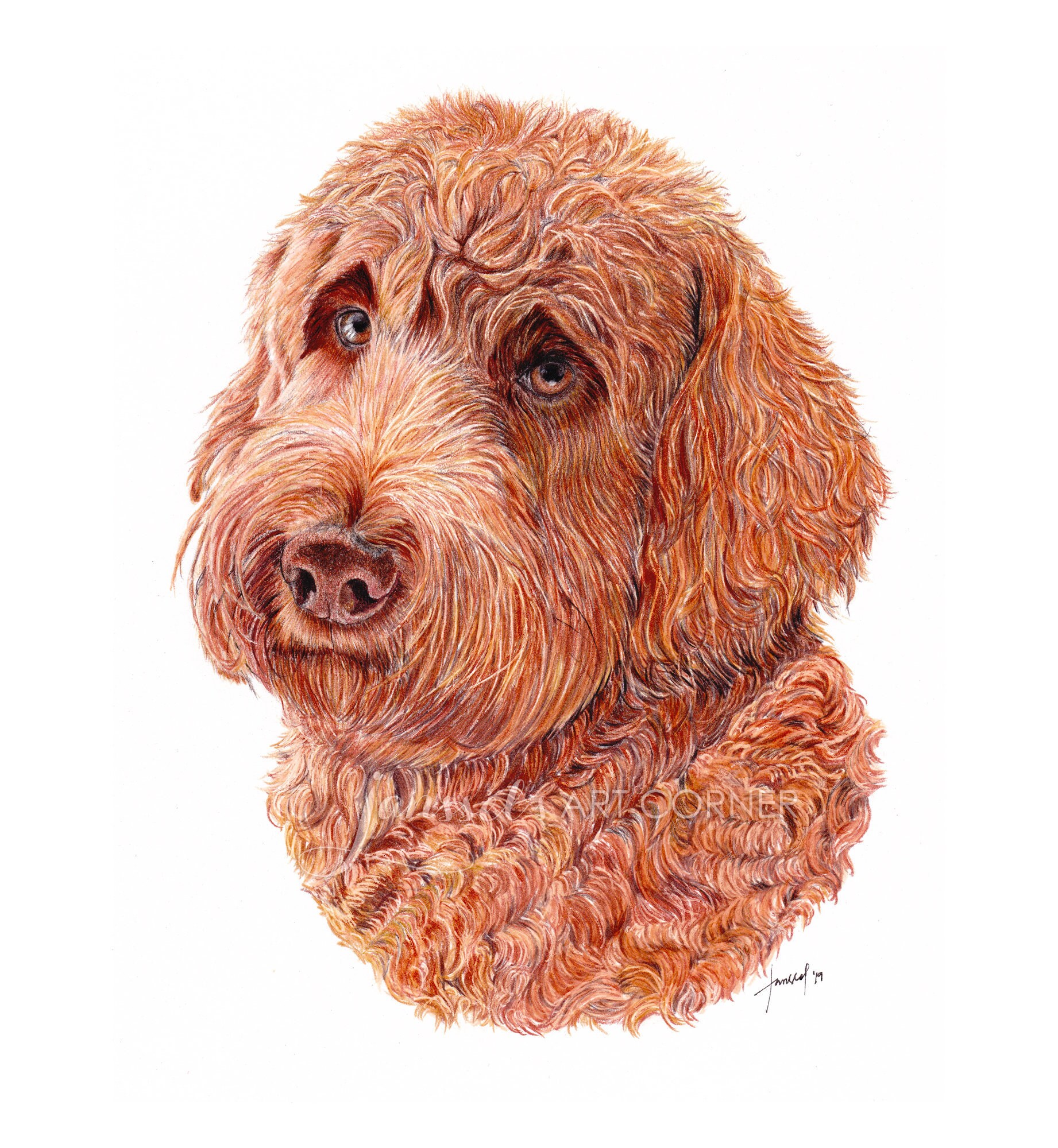 Custom Colored Pencil Hand Drawing Pet Portrait Commissioned | Etsy