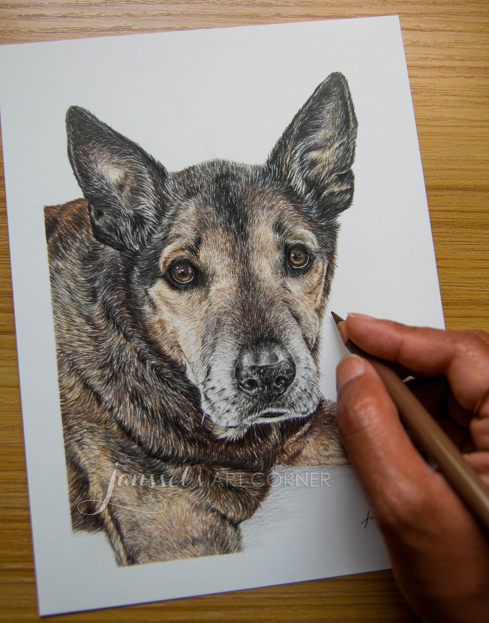 Custom Colored Pencil Hand Drawing Pet Portrait Commissioned | Etsy