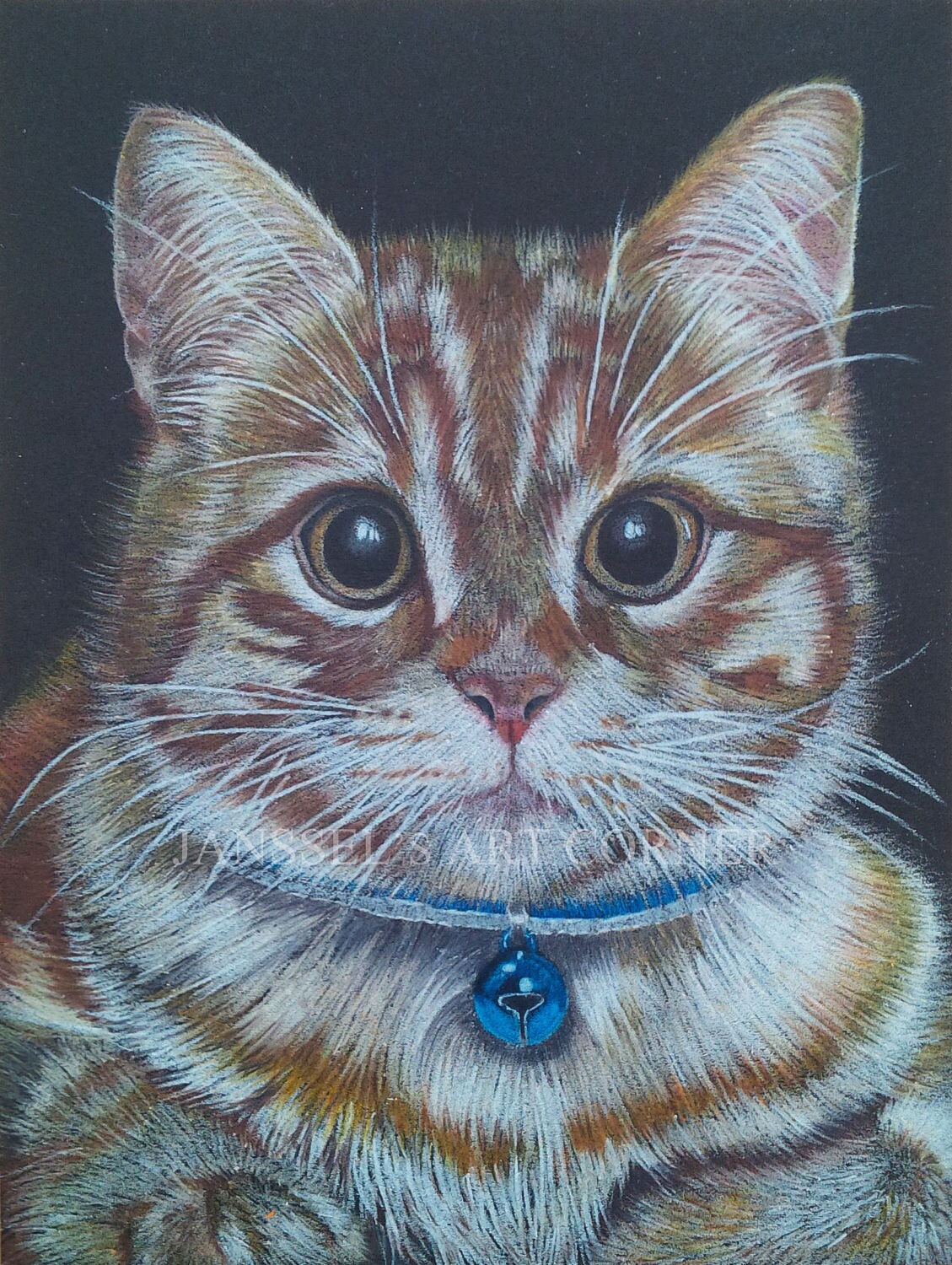 Custom Colored Pencil Hand Drawing Pet Portrait Commissioned | Etsy