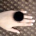 Black Furry Ring, Mink Pompom Ring, Mink Finger Ring With Genuine ...
