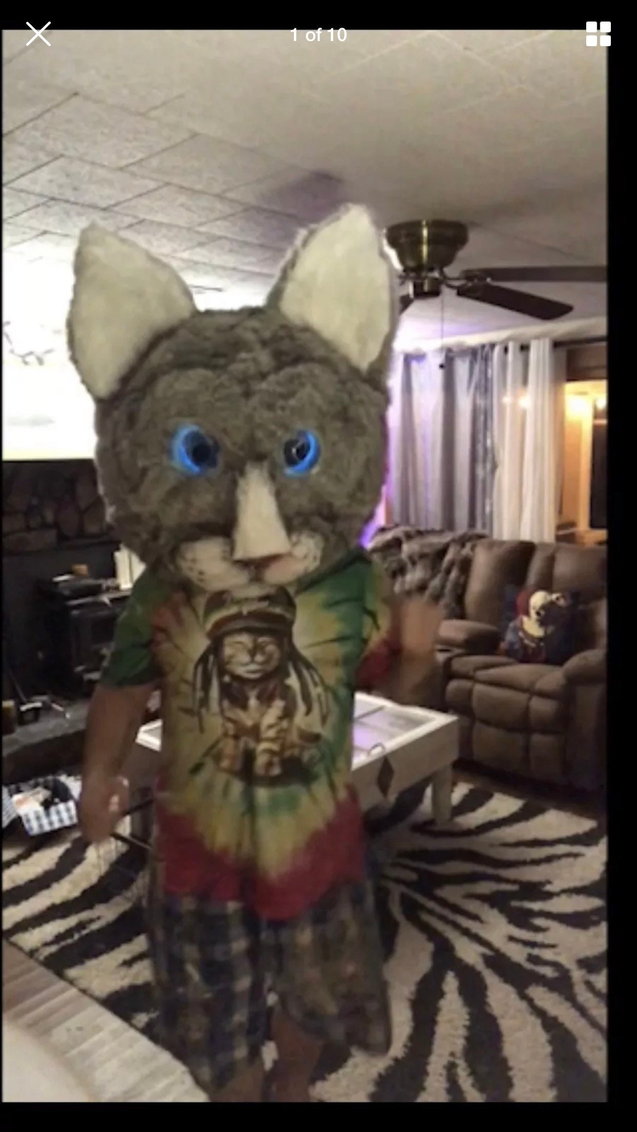 Giant Realistic Cat Head | Etsy