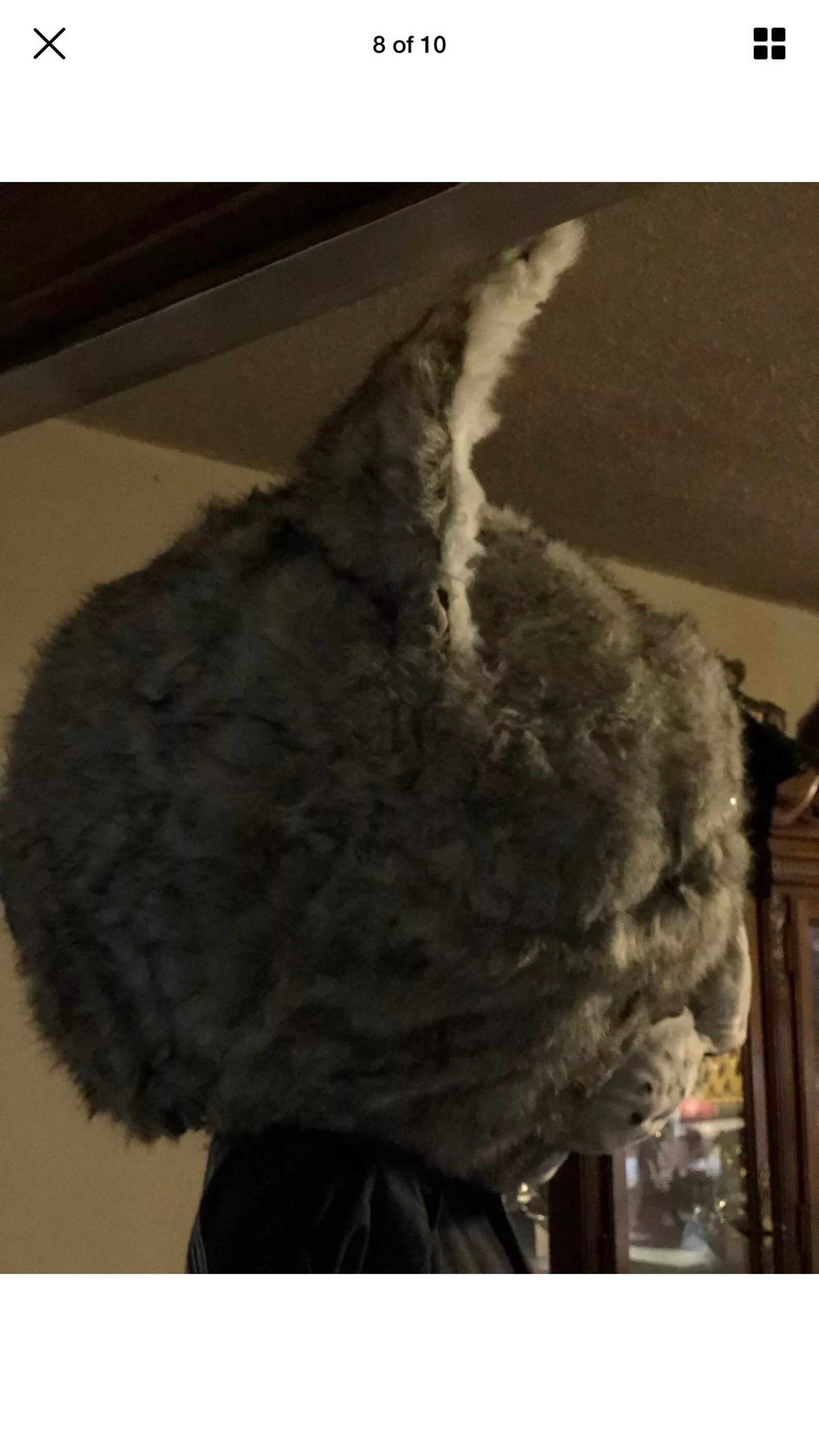 Giant Realistic Cat Head - Etsy
