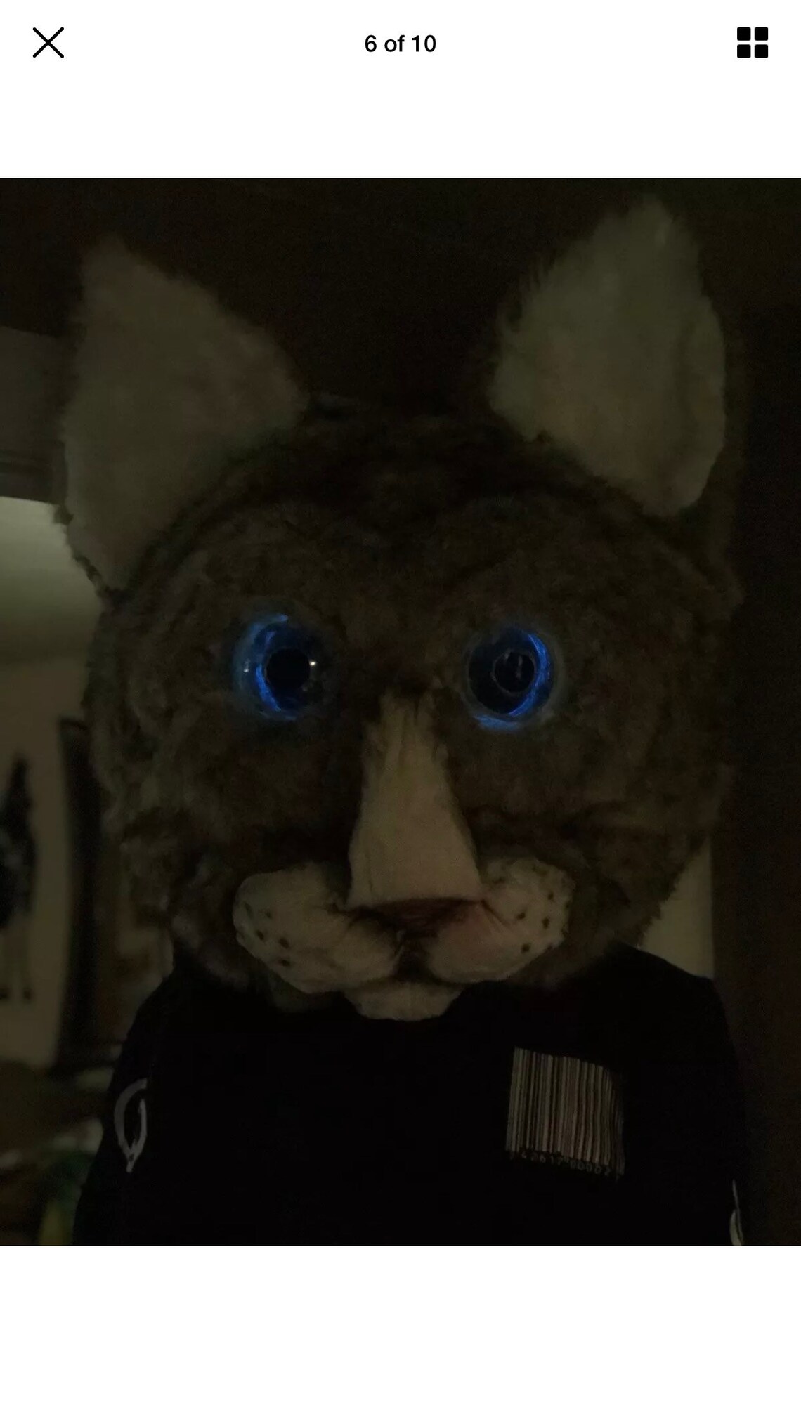 Giant Realistic Cat Head - Etsy