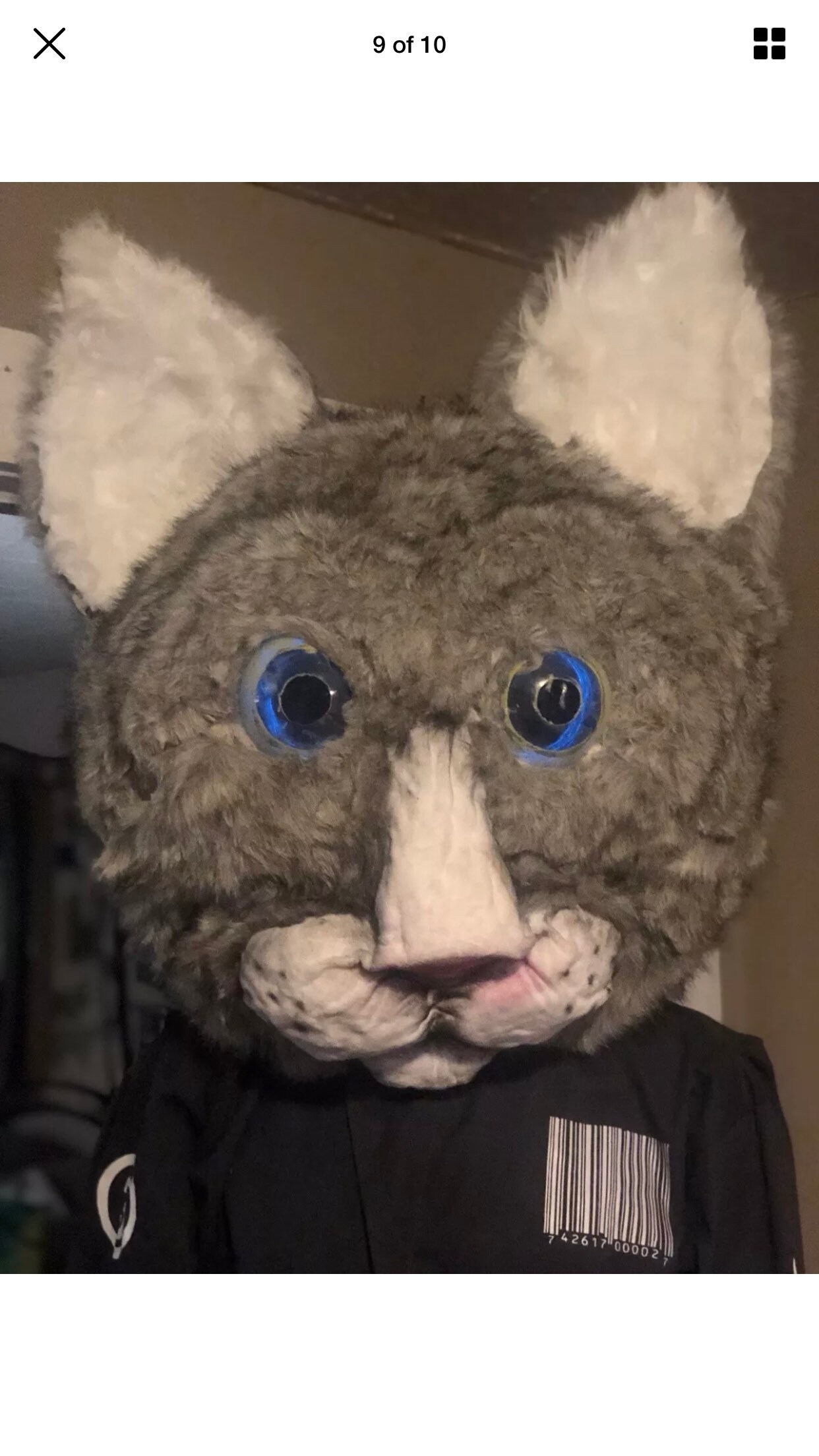 Giant Realistic Cat Head | Etsy