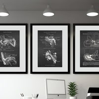6 Gold Ear Anatomy Art Auditory System Posters Medical Art Inner Ear ...