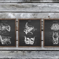 Soundwave Art Print, Audio Wave Print, Hearing Office Decor, Audiology ...