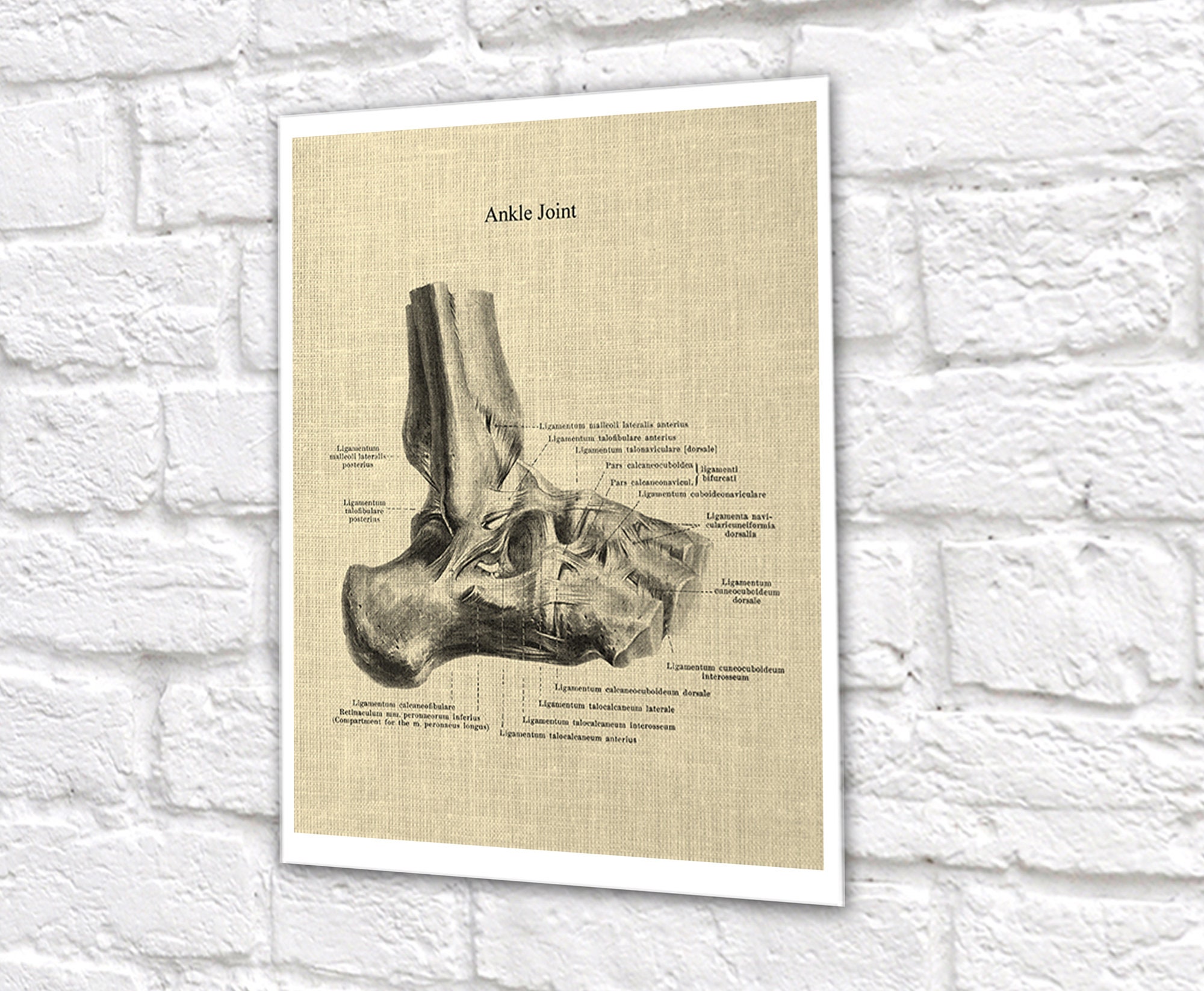 Orthopedic Posters Anatomy of Human Joints Set of 6 Unframed - Etsy