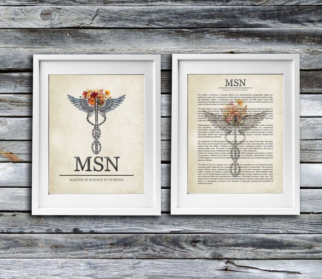 MSN Master of Science in Nursing Office Wall Decor Graduation Gift Set ...