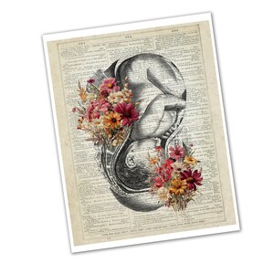 Obstetrics Office Wall Decor Set of 3 Pregnancy Anatomy With Flowers on ...