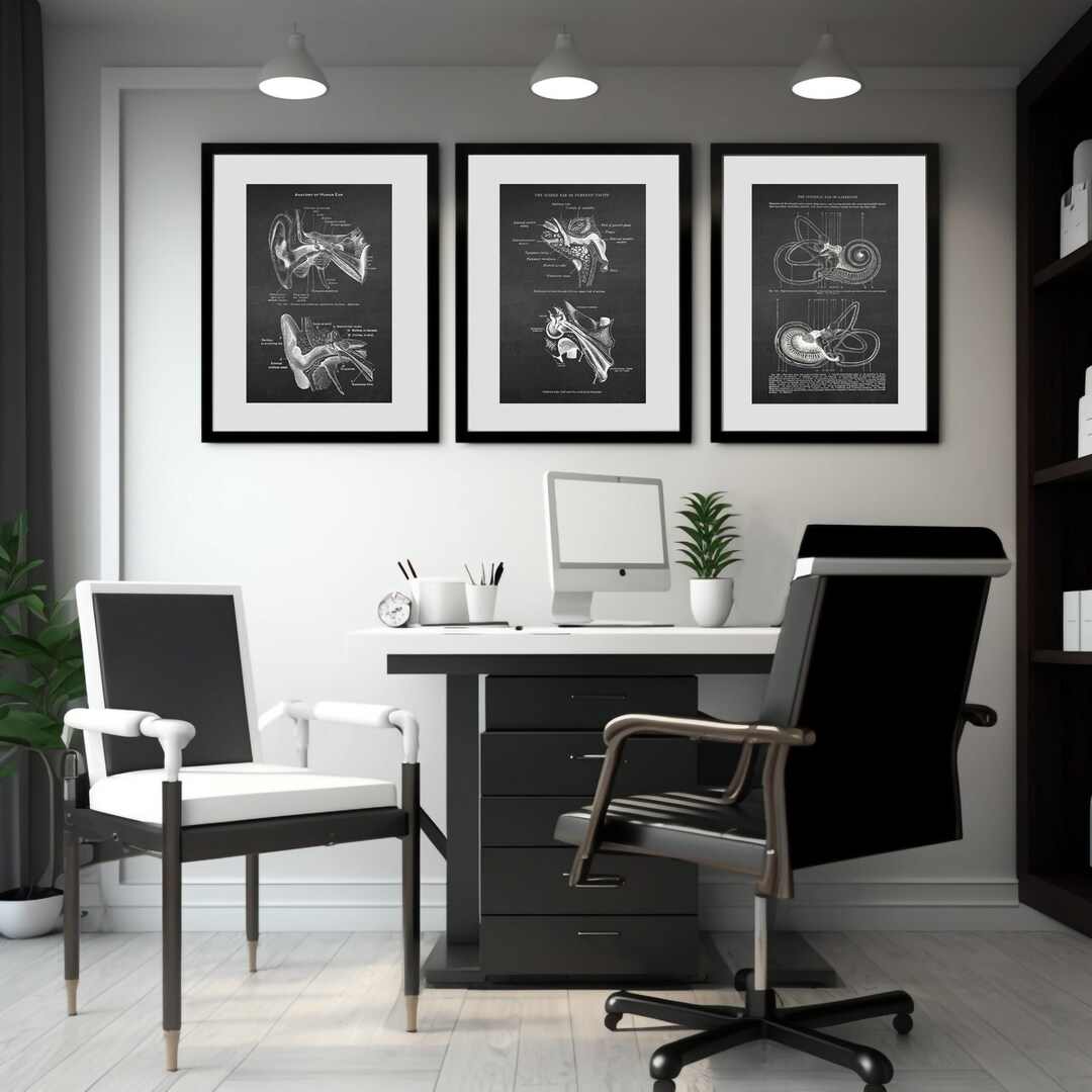 Ear Anatomy Art Audiologist Doctor Office Wall Decor Set of 3 Unframed ...