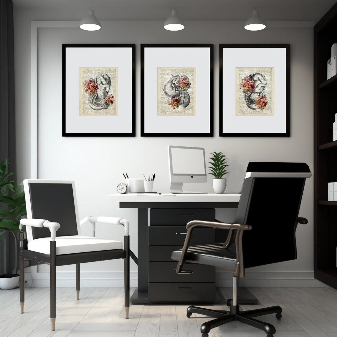 Obstetrics Office Wall Decor Set of 3 Pregnancy Anatomy With Flowers on ...