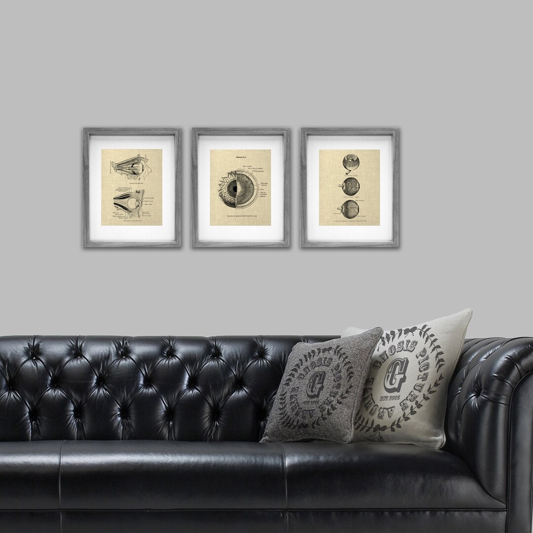 Anatomy Eye Wall Decor Art Prints Set of 3 Unframed Decor Gift for ...
