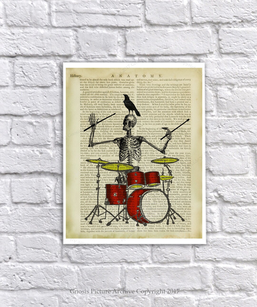 Drummer Halloween Decor Human Skeleton Playing Drums With Raven on His ...