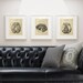 Anatomy of Human Brain Set of 3 Unframed Art Prints Decor Gift for ...