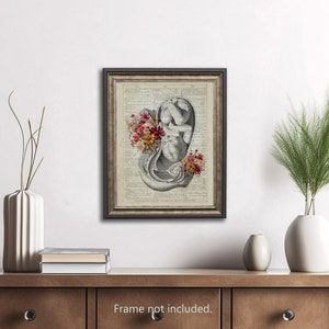 Obstetrics Office Wall Decor Set of 3 Pregnancy Anatomy With Flowers on ...