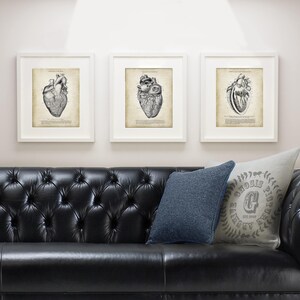 Anatomy of Human Heart Set of 6 Unframed Art Prints Cardiology Office ...
