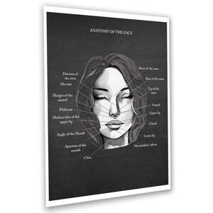 Facial Muscles Anatomy Chart Posters Art Set of 3 Unframed Art Prints ...