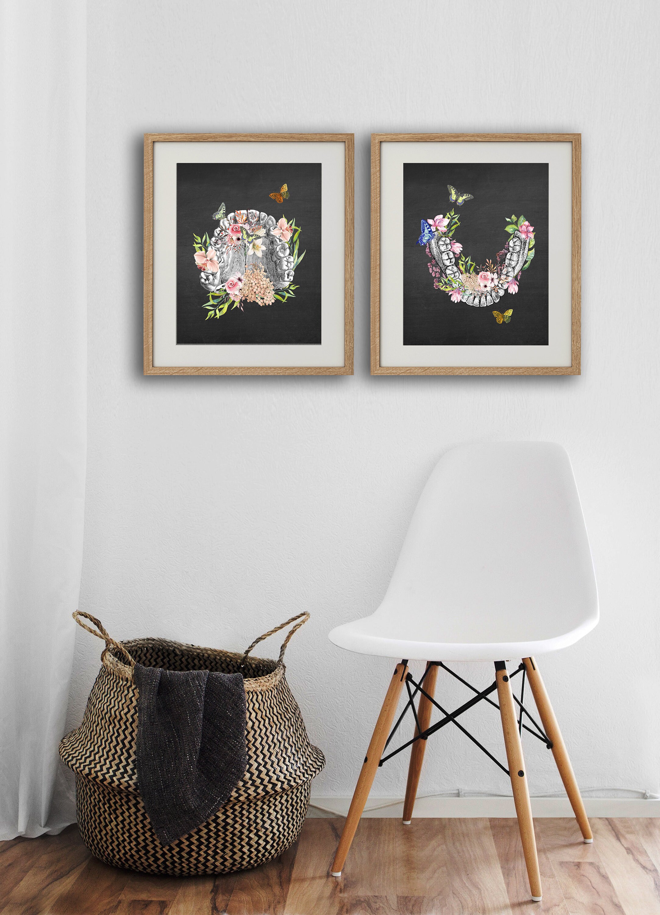 Dental Decor Set of 2 Human Teeth Upper Lower Jaw Anatomy | Etsy