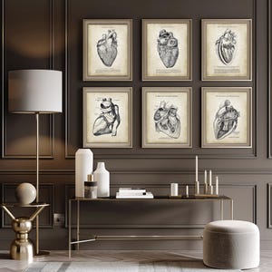 Anatomy of Human Heart Set of 6 Unframed Art Prints Cardiology Office ...