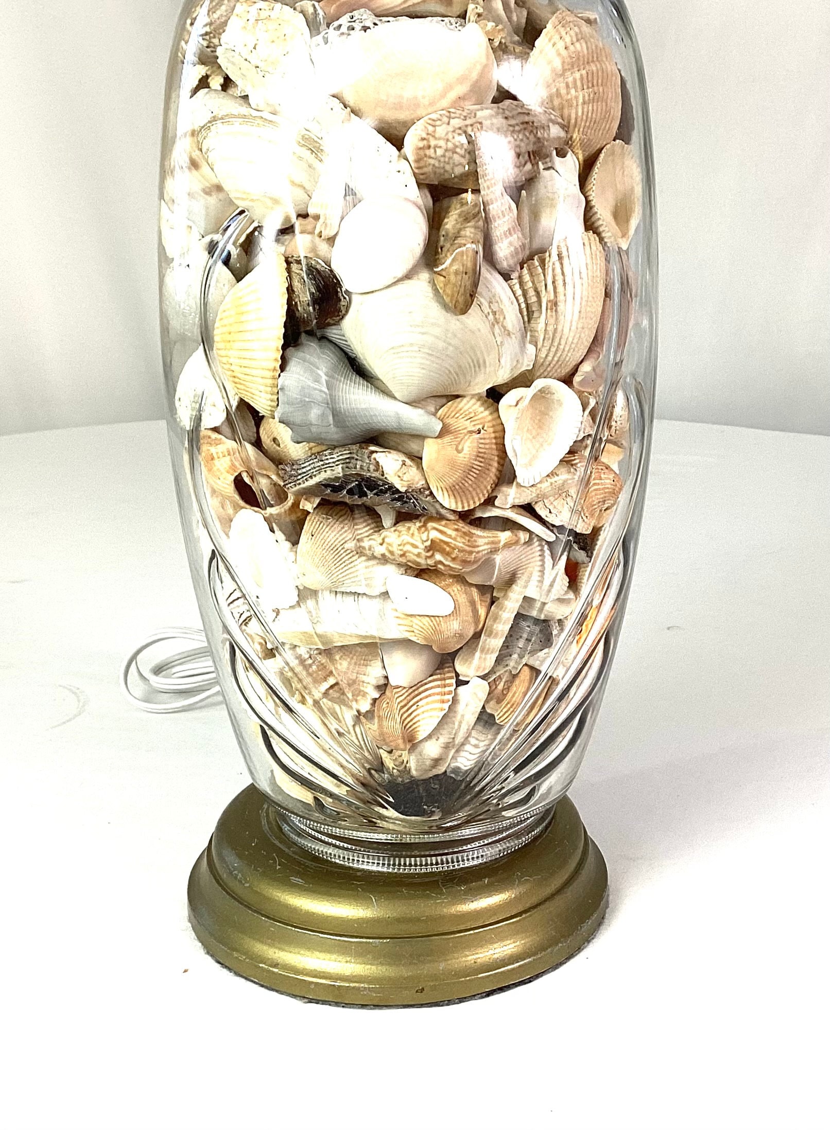 Superior, Large, Coastal, Seashell Lamp - Etsy
