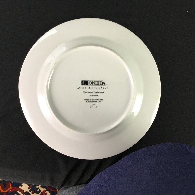 Oneida Porcelain -the Savannah Collection-set of 5 Dinner Plates -ships ...