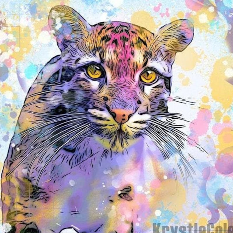 Clouded Leopard - Etsy