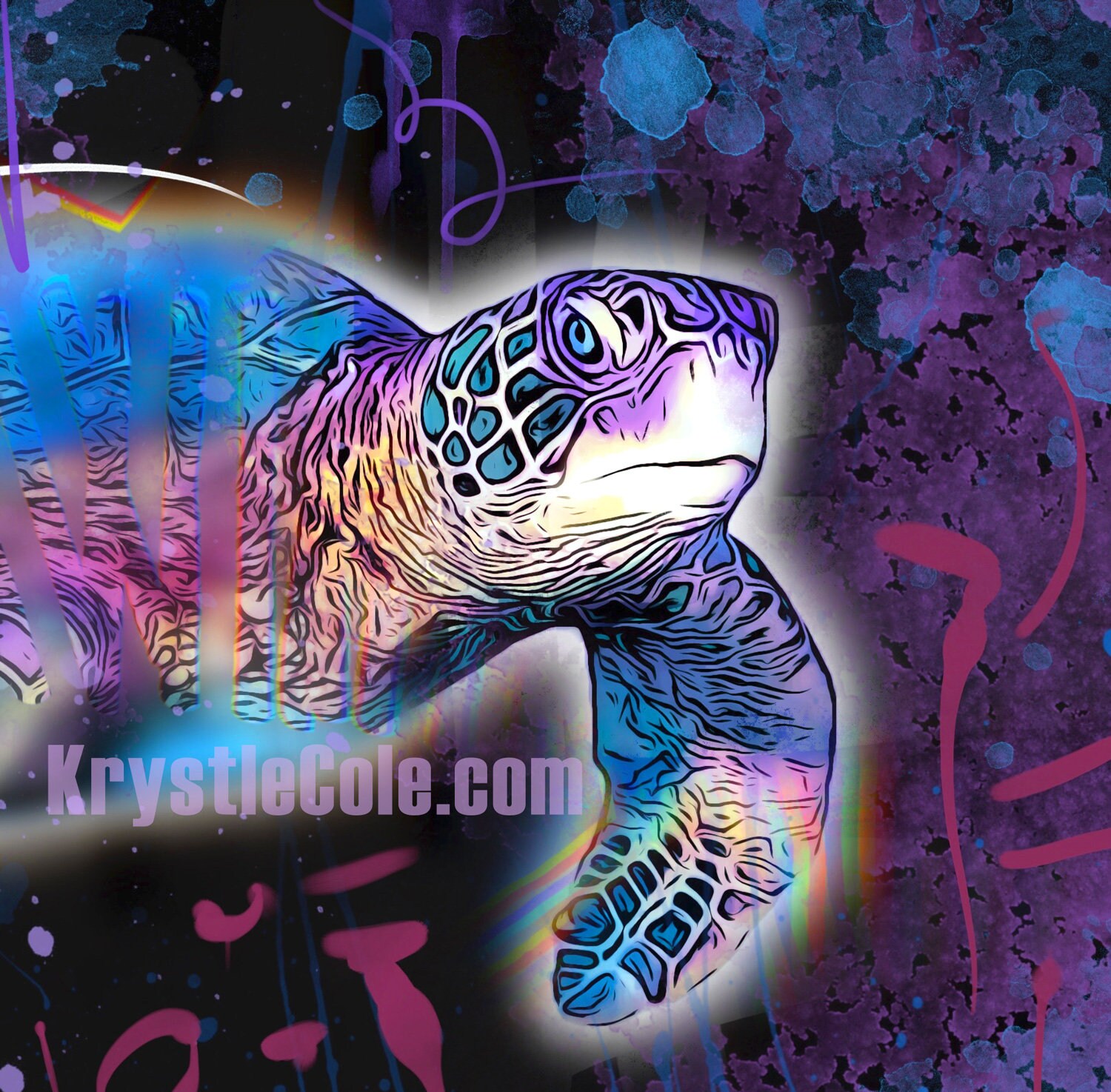 Trippy Turtle Drawings