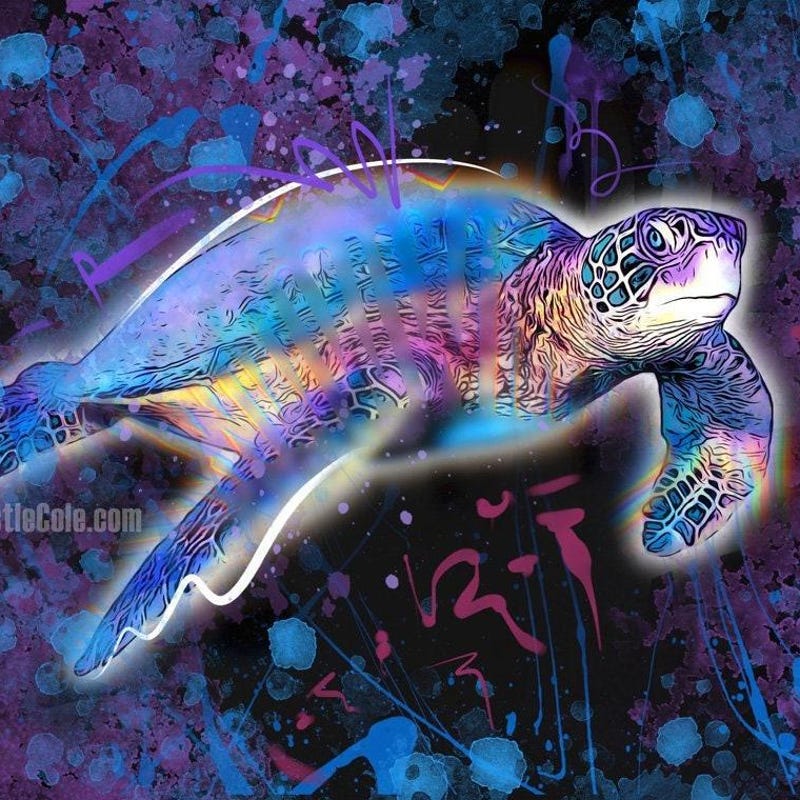 Turtle Art - Etsy