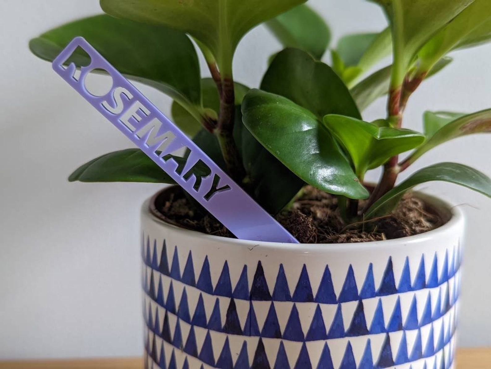 Personalized Plant Marker Garden Laser Engraved Into Pastel | Etsy