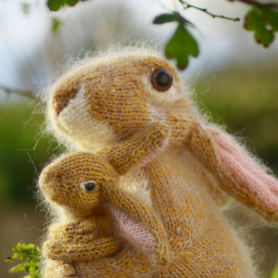 Free Rabbit Knitting Pattern Revised Boy And Girl Bunny Patterns