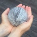 Yarn Made With Your Dog’s or Cat’s Hair! Chiengora, Dog or Cat Hair ...