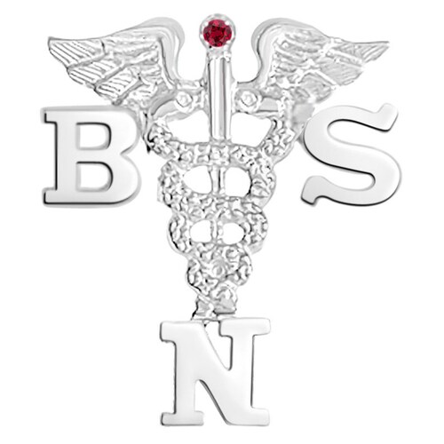 BSN Nursing Pin for Graduation in Silver - Etsy