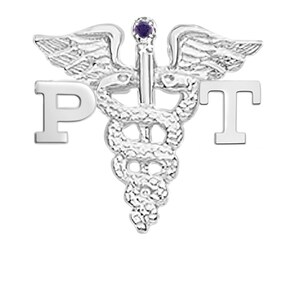 Physical Therapist PT Graduation Pins - Etsy