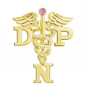 14K Gold DNP Doctor Nursing Practice Pin - Etsy