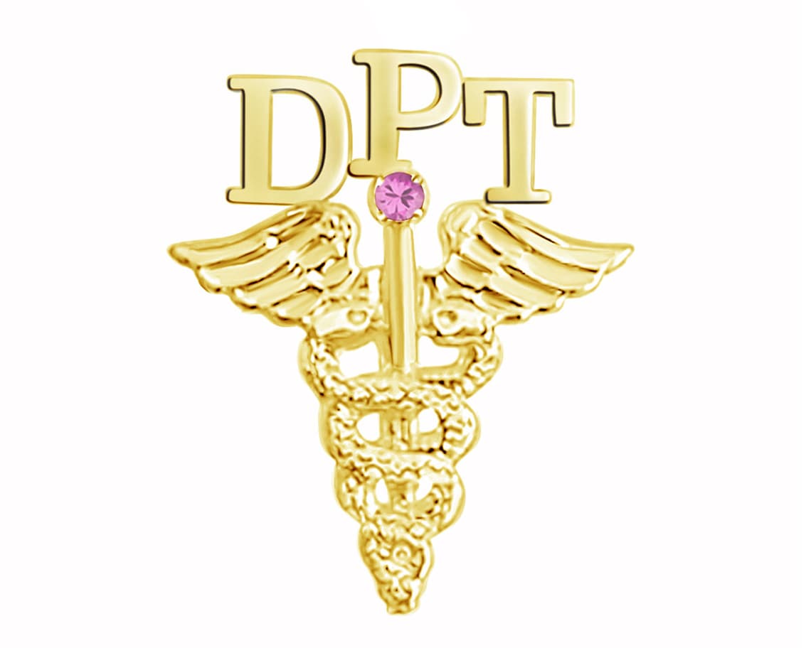 Gold Doctor of Physical Therapy DPT Pin - Etsy