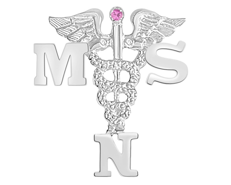 MSN Nursing Pin for Graduation in Silver - Etsy