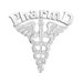 Pharmd Graduation Pin Silver Pharmacist | Etsy